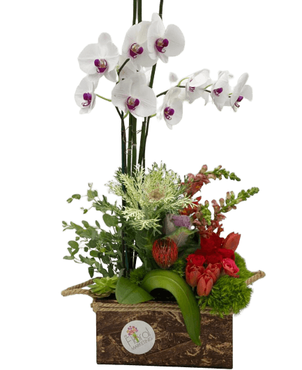 Marvelous – PR Floral Marketing